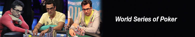 WSOP Top Players and Stats