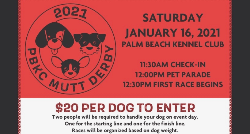 Palm Beach Kennel Club Mutt Derby Returns In January of 2021 - Poker News