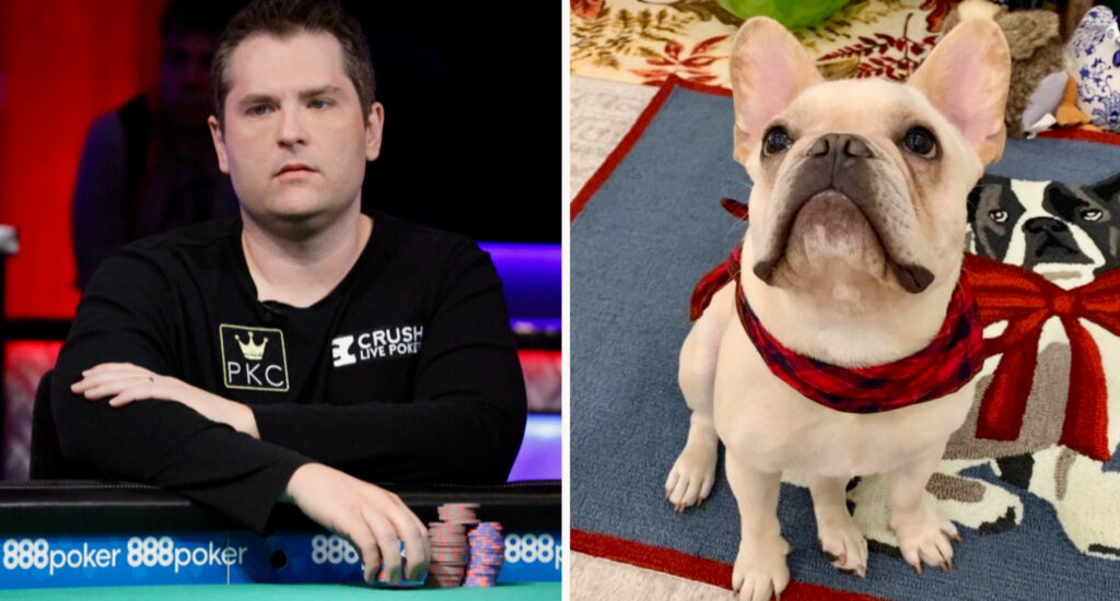 Poker Pro Bart Hanson Details Dog Training Scam Leading To Pet’s Death ...