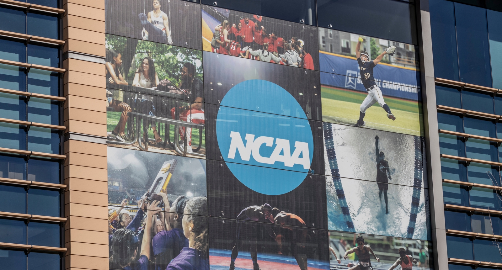 NCAA Officially Introduces Plan To Allow Betting On Pro Sports