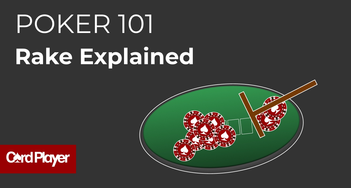 Poker Rake Explained: Definition & Strategies