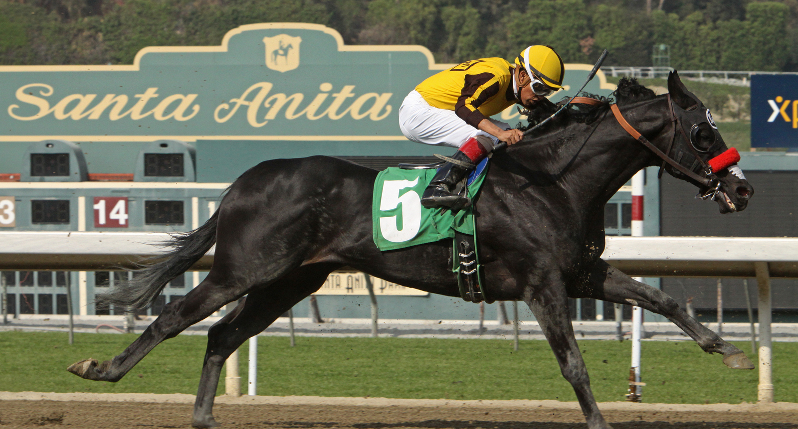 Slots-Like Machines Seized From Los Angeles Horse Track - Poker News